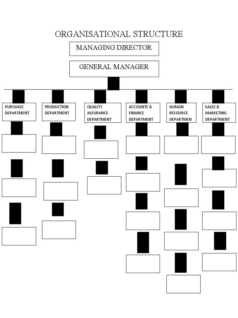 Organizational Structure Overview | PDF