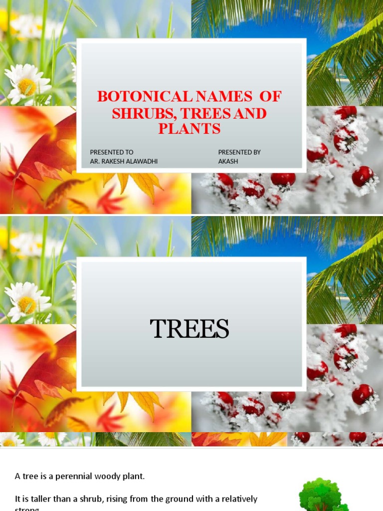 Botanical Names (Akash) | PDF | Shrub | Trees