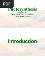 Why Grass Is Green: Science Explained | PDF | Chlorophyll | Photosynthesis