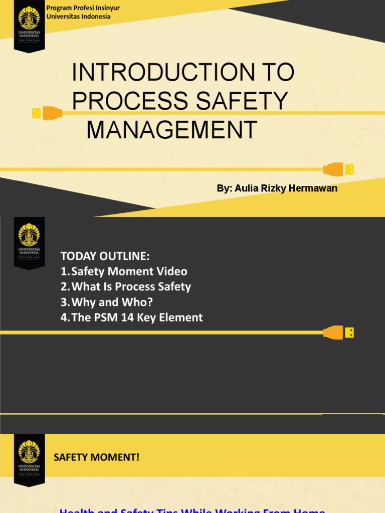 Introduction to Process Safety Management | PDF | Prevention | Safety