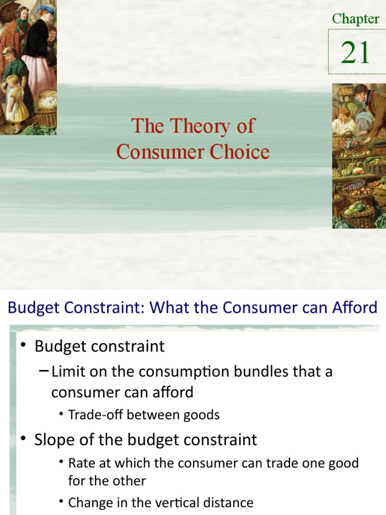 Consumer Choice Theory Explained | PDF | Labour Economics | Demand
