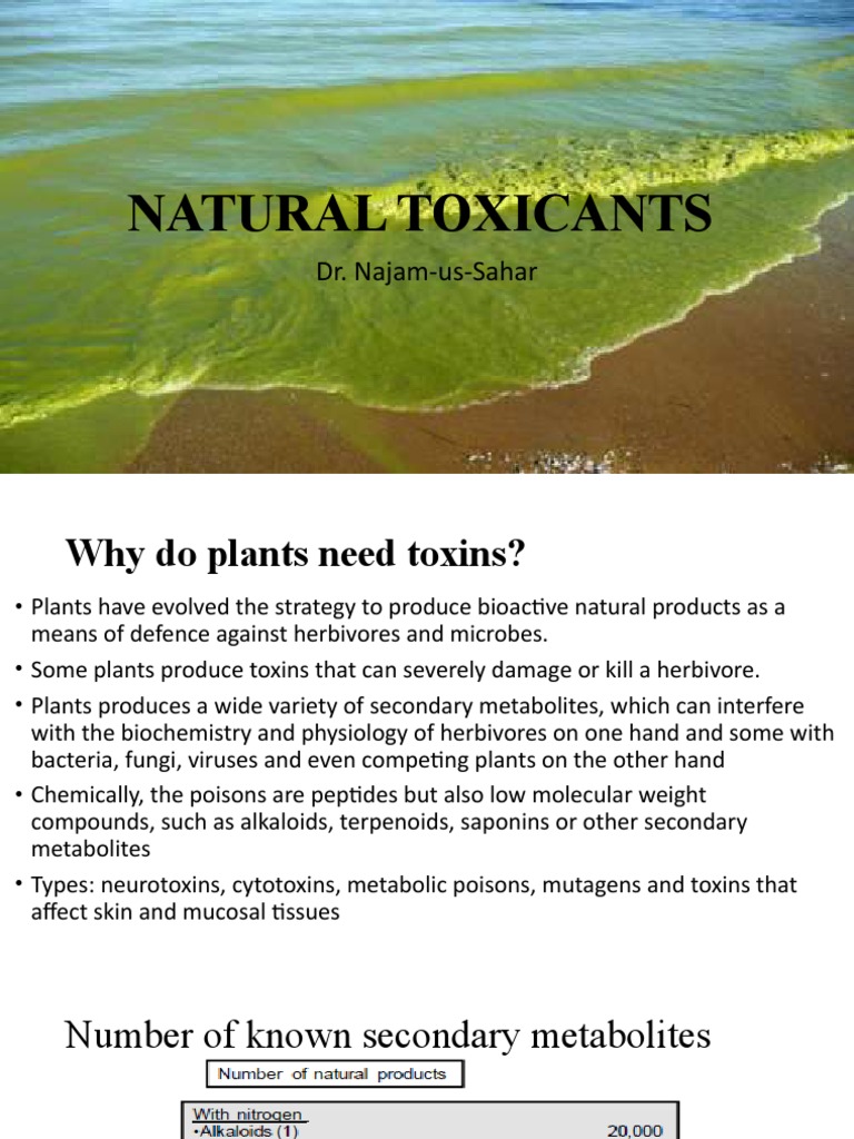 Natural Toxicants: Dr. Najam-us-Sahar | PDF | Mycotoxin | Opioid