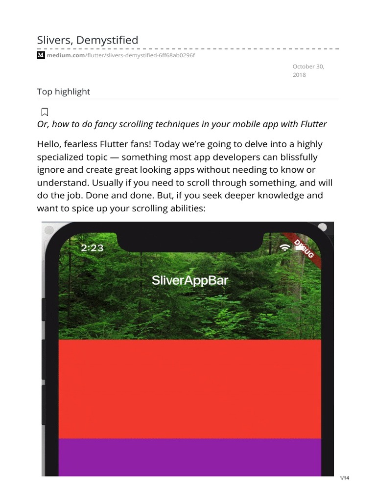 Slivers Demystified | PDF | Constructor (Object Oriented Programming) | Programming