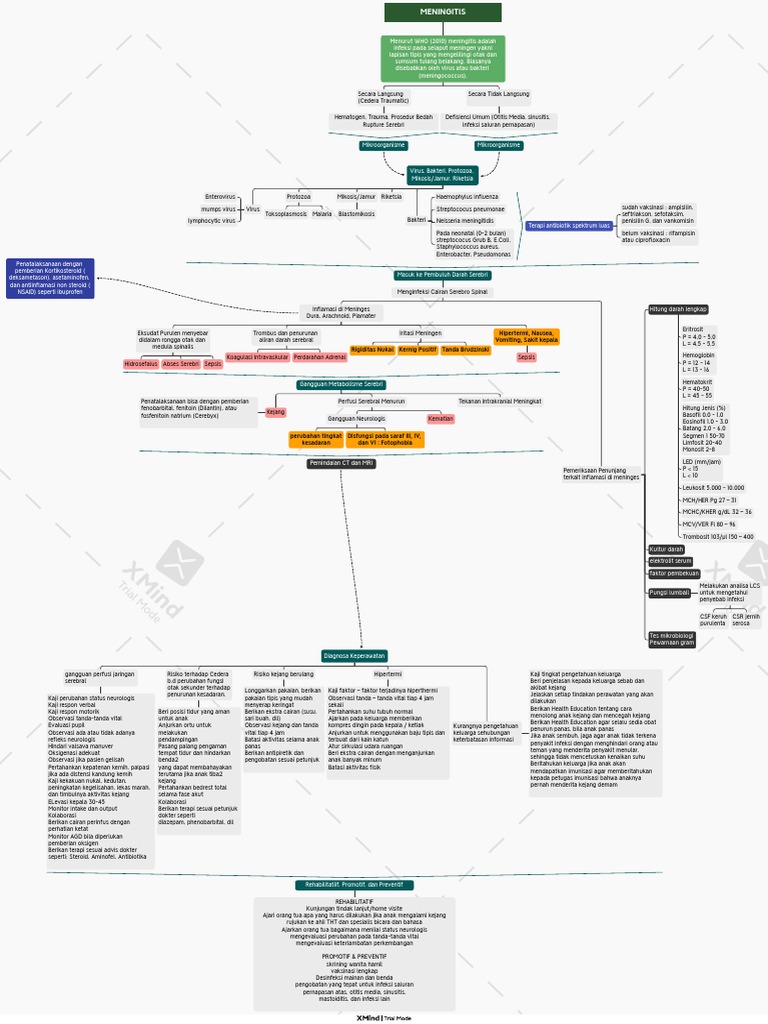 WOC Meningitis | PDF