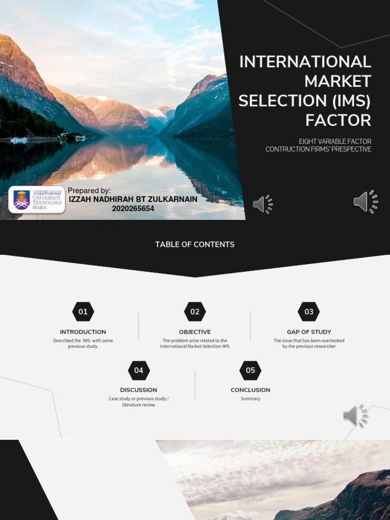International Market Selection (IMS) | PDF | Risk | Market (Economics)