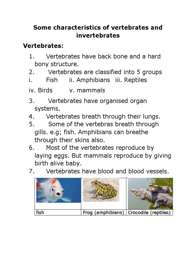 Vertebrates and Invertebrates Final Notes | PDF | Amphibian | Birds