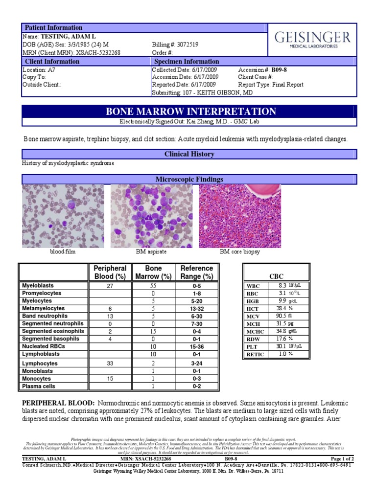 Bone Marrow Interpretation: Clinical History | PDF | White Blood Cell ...