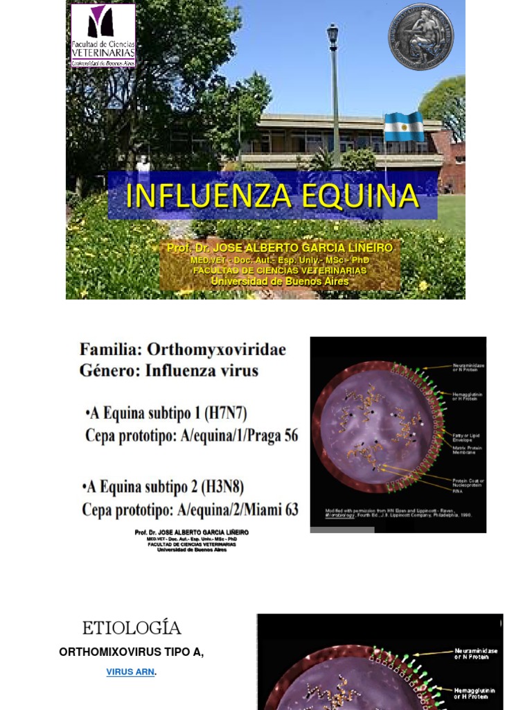 Influenza Equina | PDF | Virus | Influenza