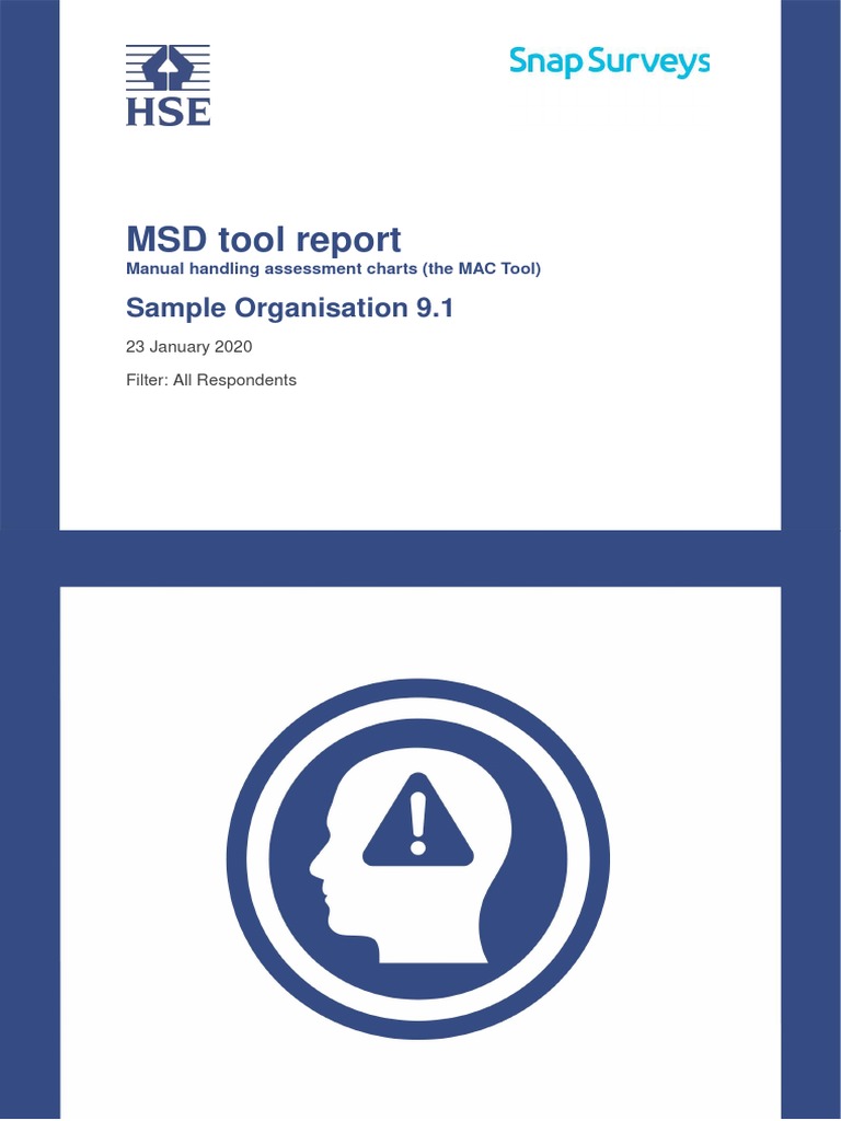 MSD Tool Report: Sample Organisation 9.1 | PDF | Safety | Business