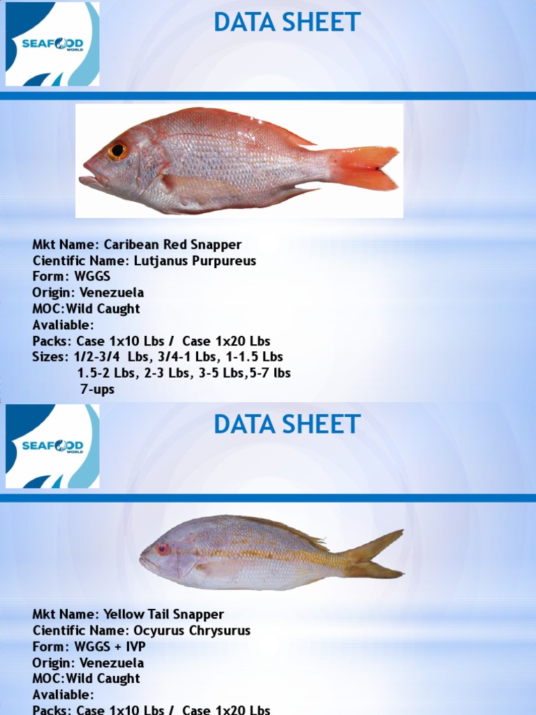 Data Sheet Fish From. Venezuela | PDF | Fauna | Aquatic Animals