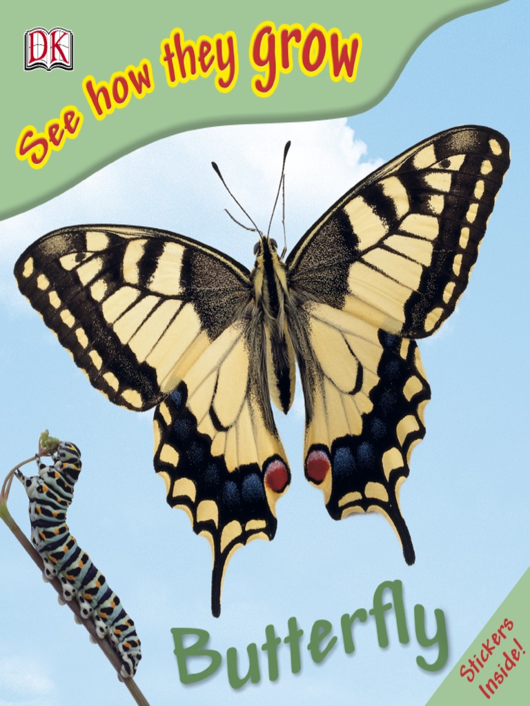 Butterfly See How They Grow PDF | PDF | Butterfly | Organisms