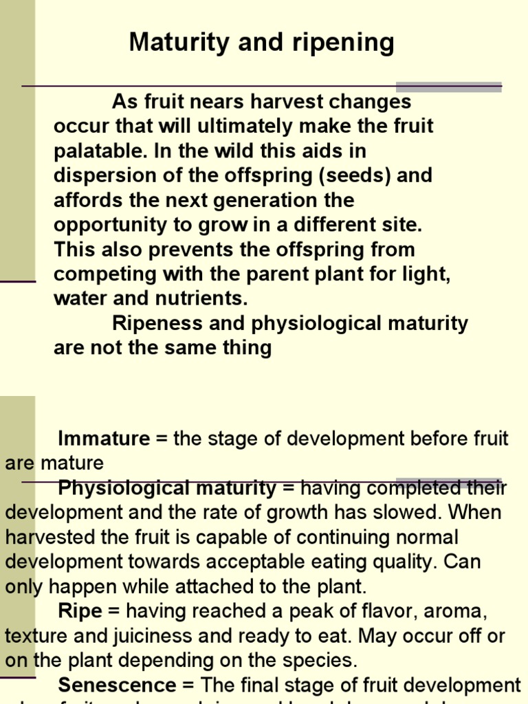 Maturity and Ripening: As Fruit Nears Harvest Changes | PDF