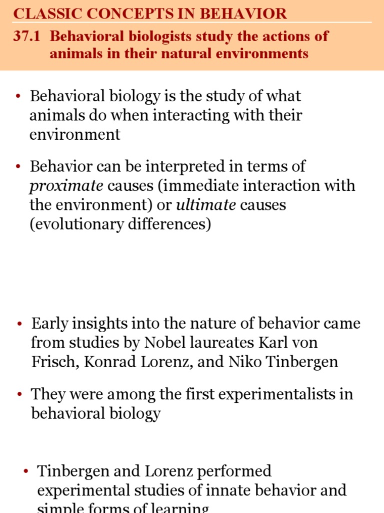 Understanding Animal Behavior and Ecology | PDF | Science & Mathematics