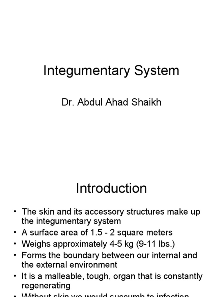 Integumentary System: Dr. Abdul Ahad Shaikh | PDF | Skin | Epidermis