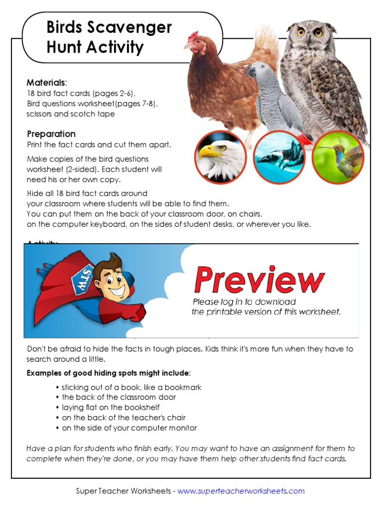 Bird-Scav-Hunt FOR TEACHING | PDF | Birds | Owl