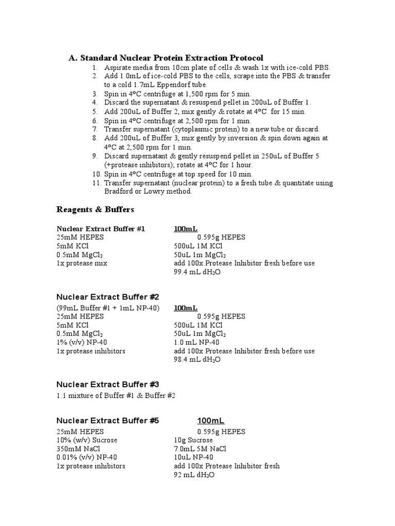 Nuclear Protein Extraction Protocol | PDF | Science & Mathematics