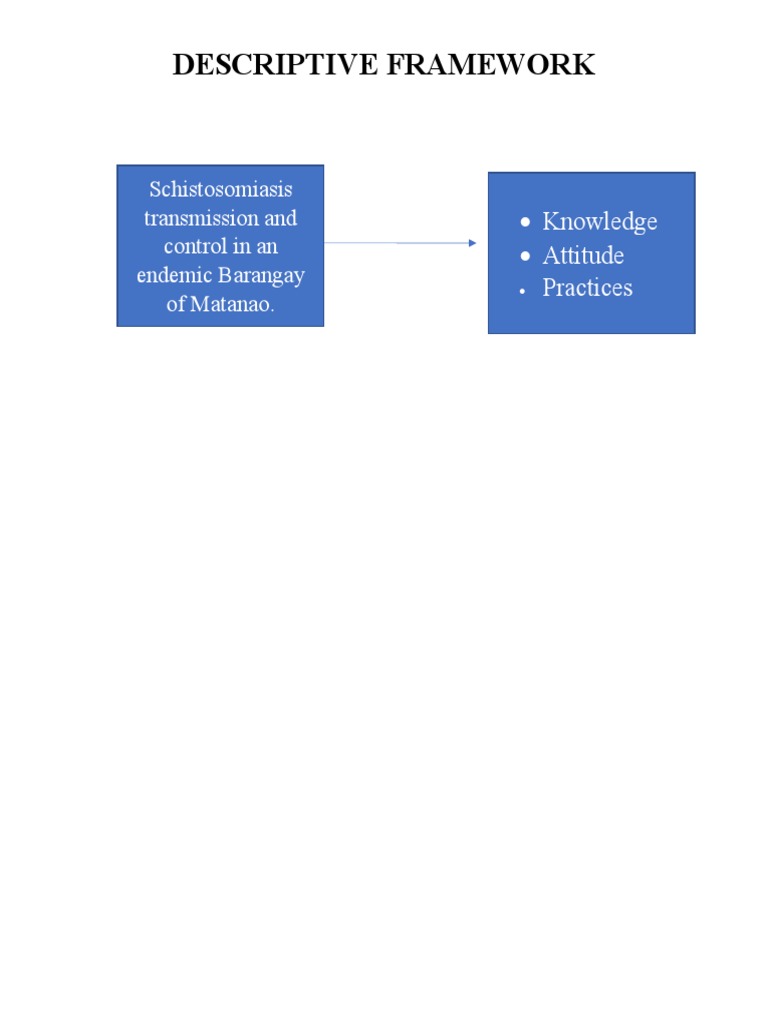 Descriptive Framework Schistosomiasis | PDF
