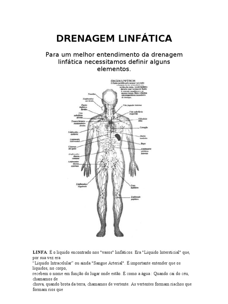 DRENAGEM LINFÁTICA | Sistema Linfático | Linfa