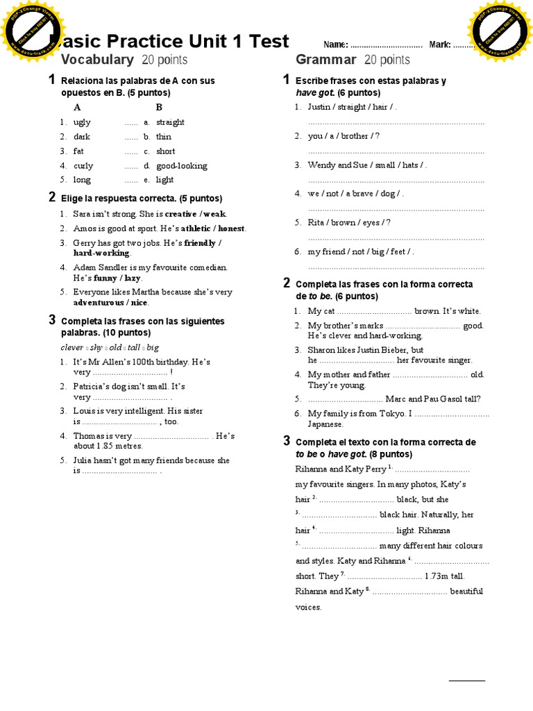 Basic Practice Unit 1 Test: Vocabulary 20 Points Grammar 20 Points | PDF