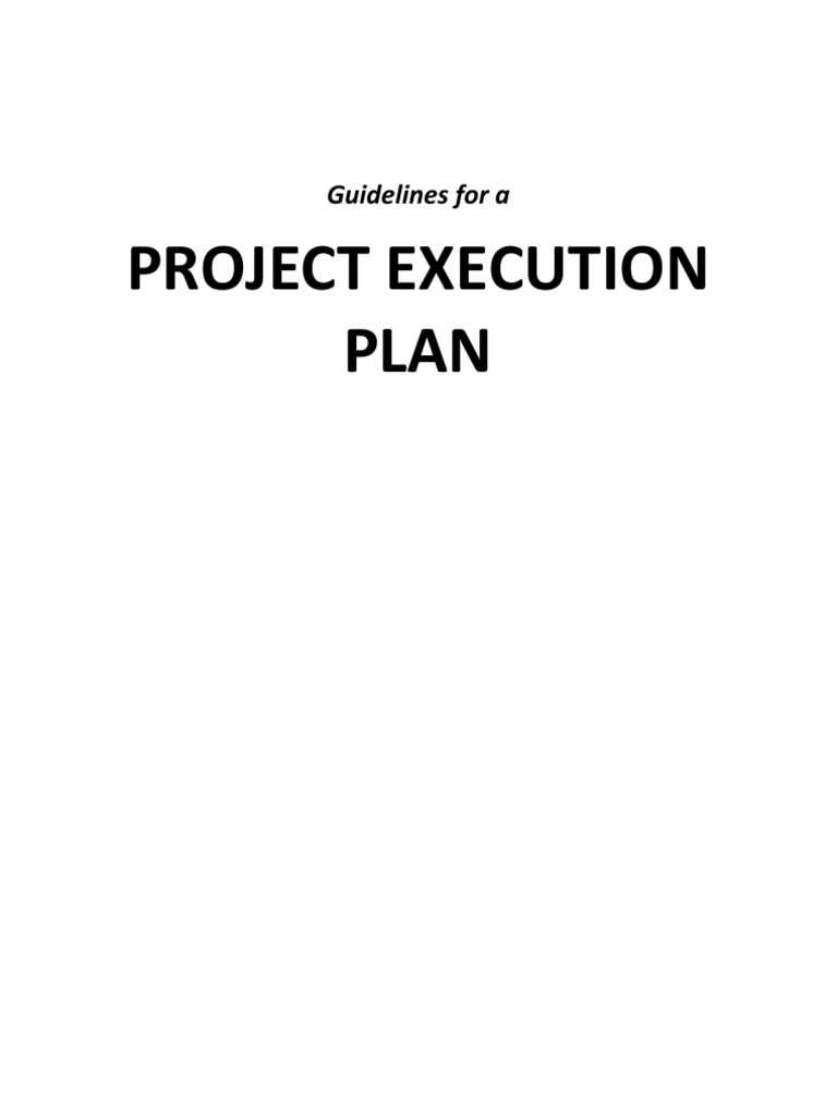 Project Execution Plan | PDF | Risk Management | Business Process
