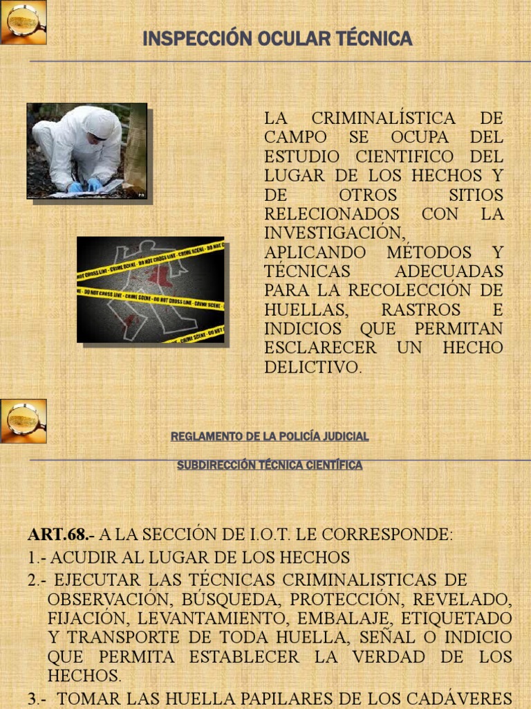 Inspeccion Ocular Tecnica | PDF | Ciencia forense | Rodilla