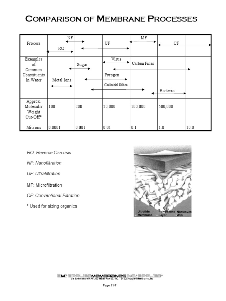 Comparison Membrane Processes | PDF