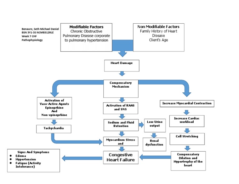 Week 7 Pathophysiology CHF | PDF