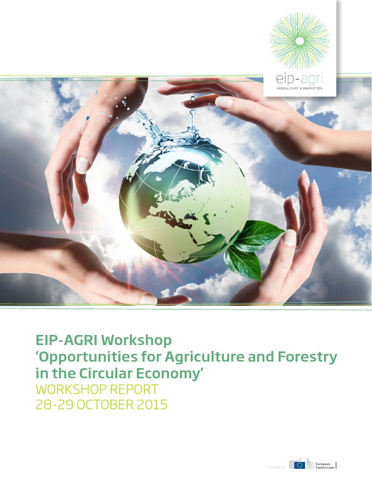 Eip-Agri Ws Circular Economy Final Report 2015 en | PDF | Sustainability | Agriculture