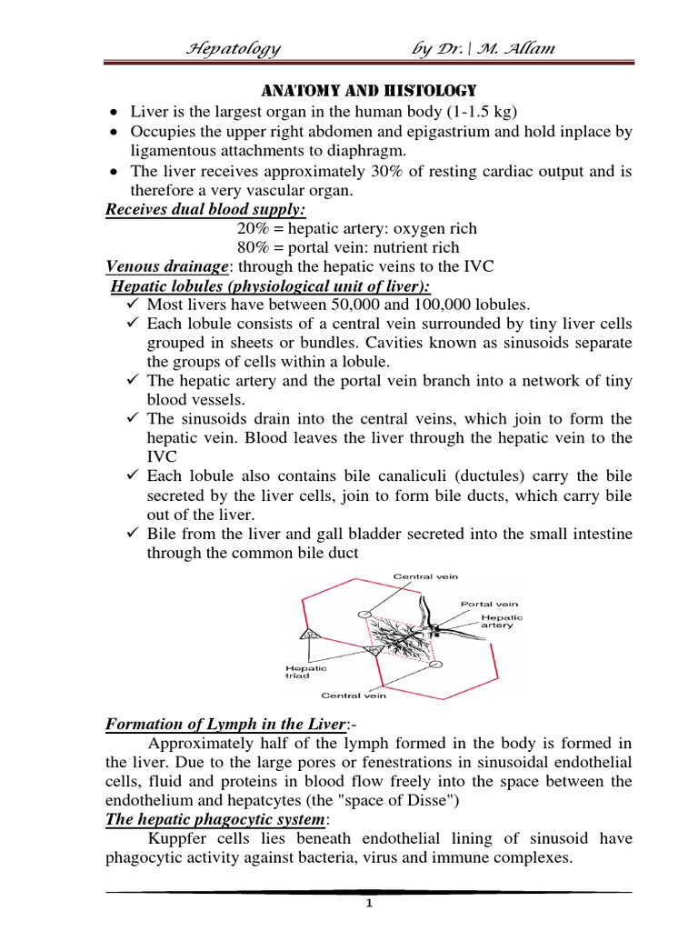 Liver - Dr. Allam 2021 PDF | PDF | Hepatitis | Cirrhosis