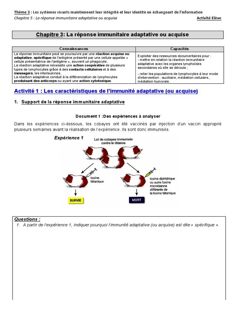 Immunité adaptative : lymphocytes et réponses | PDF | Système ...