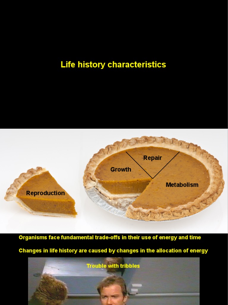 Life History Characteristics | Download Free PDF | Reproduction ...