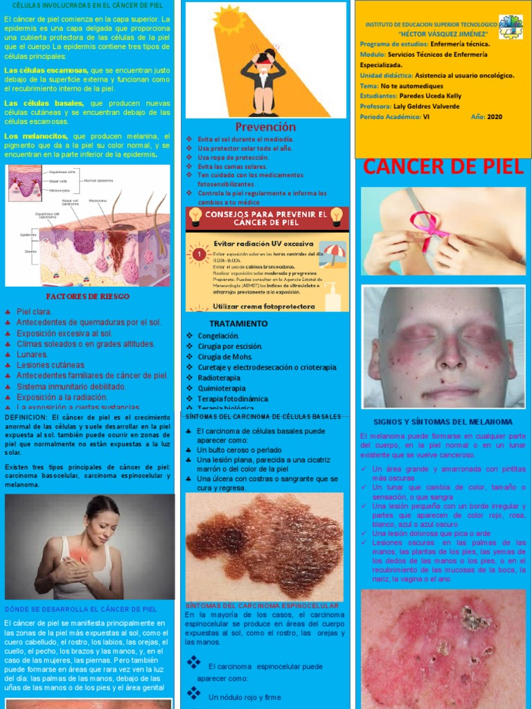 Triptico de Cancer de Piel-Kelly | PDF | Piel | Epidermis