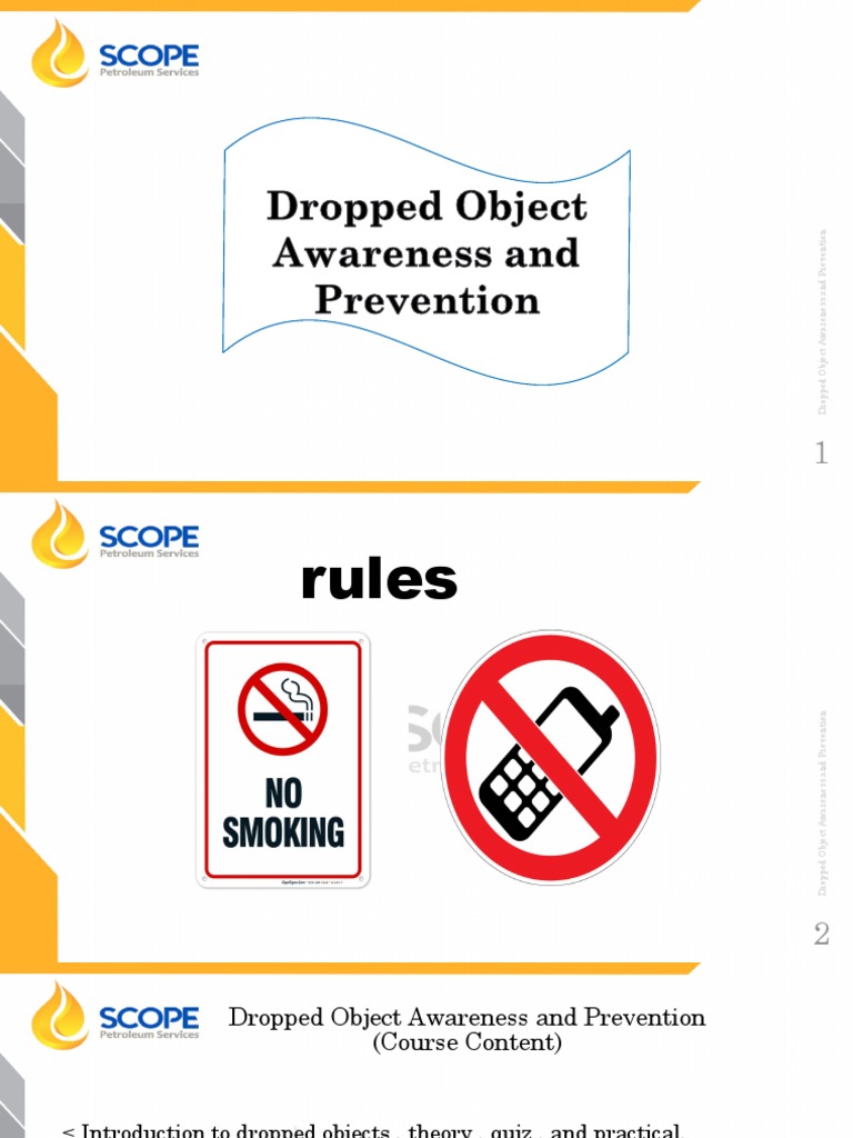 Dropped Object Awareness and Prevention SPS | PDF | Safety | Risk