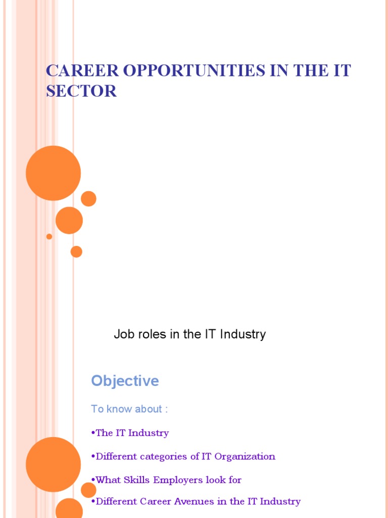 IT Industry Job Roles Overview | PDF | Software | Databases