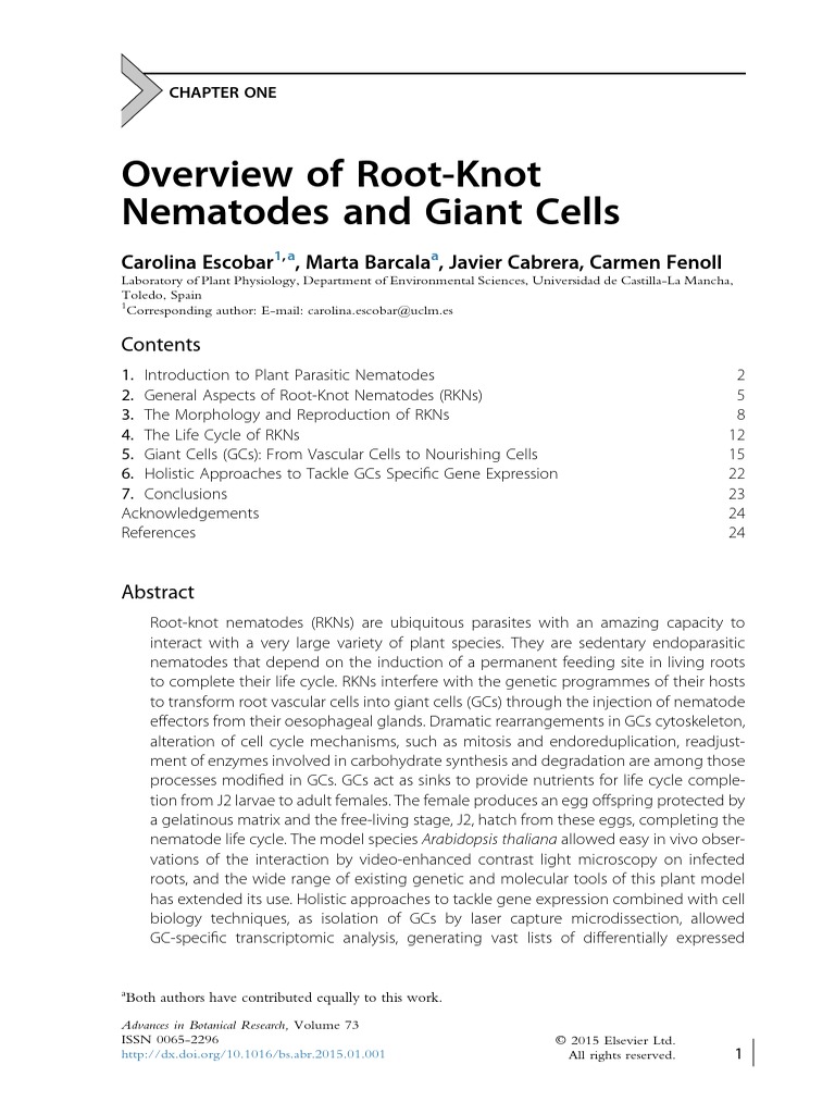 Overview of Root-Knot Nematodes and Giant Cells: Carolina Escobar ...