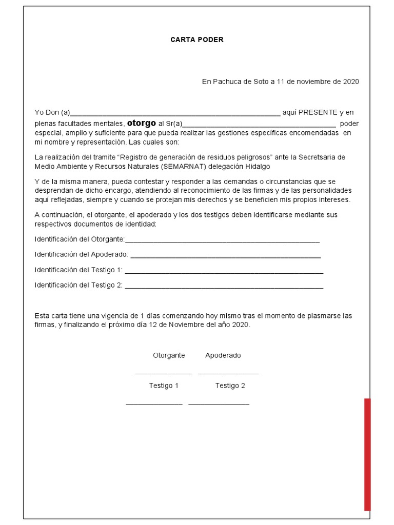 Carta Poder Simple | PDF