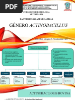 Características Del Exudado Purulento | PDF | Infección | Medicina CLINICA