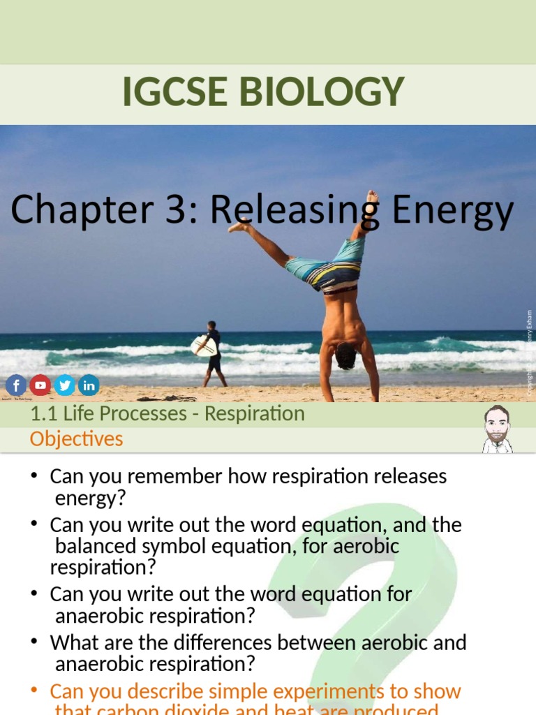 Chapter 3 Releasing Energy Part 1 | PDF | Cellular Respiration ...