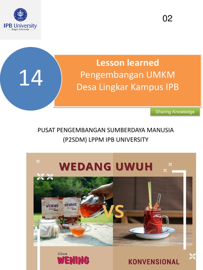 Materi 02. Lesson Learned Pendampingan UMKM | PDF