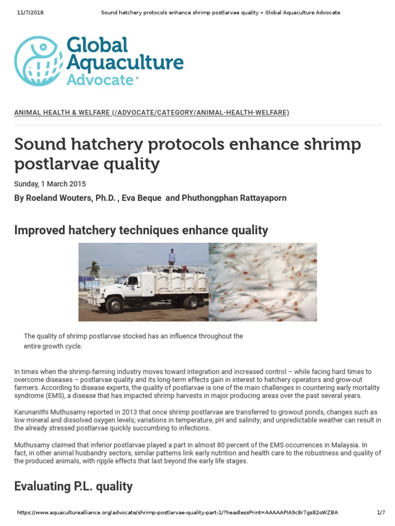 Sound Hatchery Protocols Enhance Shrimp Postlarvae Quality | PDF ...