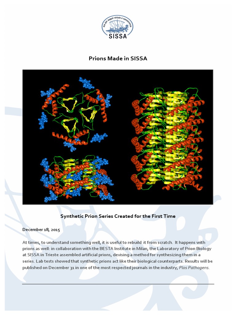 Synthetic Prions Developed at SISSA | PDF | Biology | Clinical Medicine