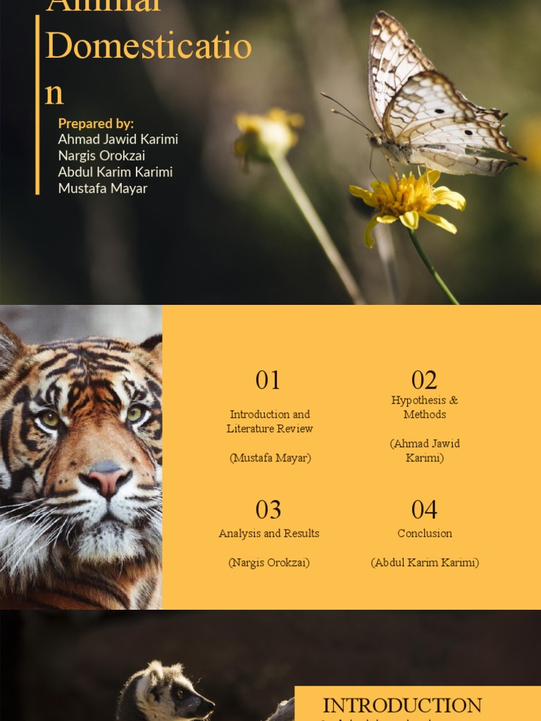 BIO 131 003 Animal Domestication | PDF | Domestication | Data