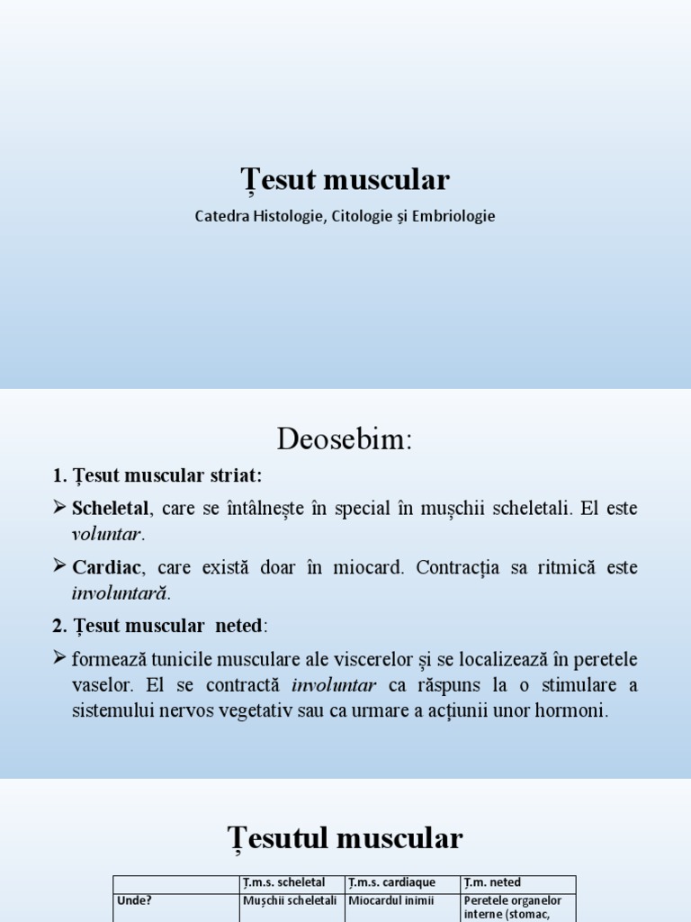 Tesut Muscular 26324 | PDF