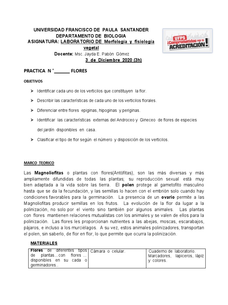 Guia de Lab. Flores e Inflorescencias Morfo 3 de Dic 2020x | PDF | Flores | Polinización