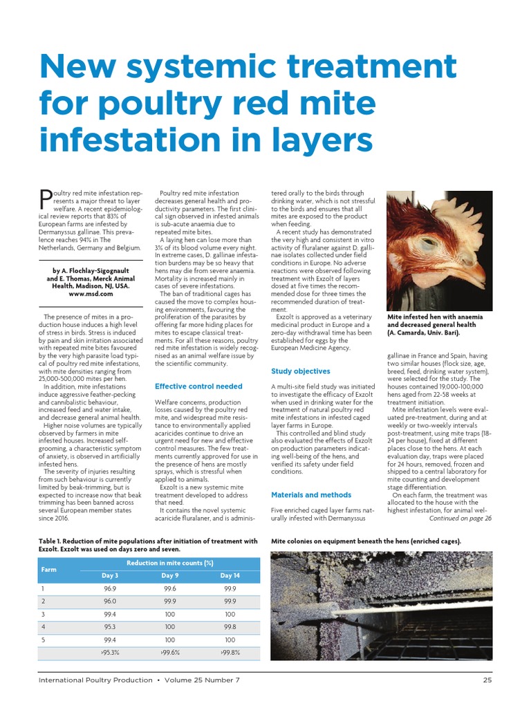 New Systemic Treatment For Poultry Red Mite Infestation in Layers | PDF ...