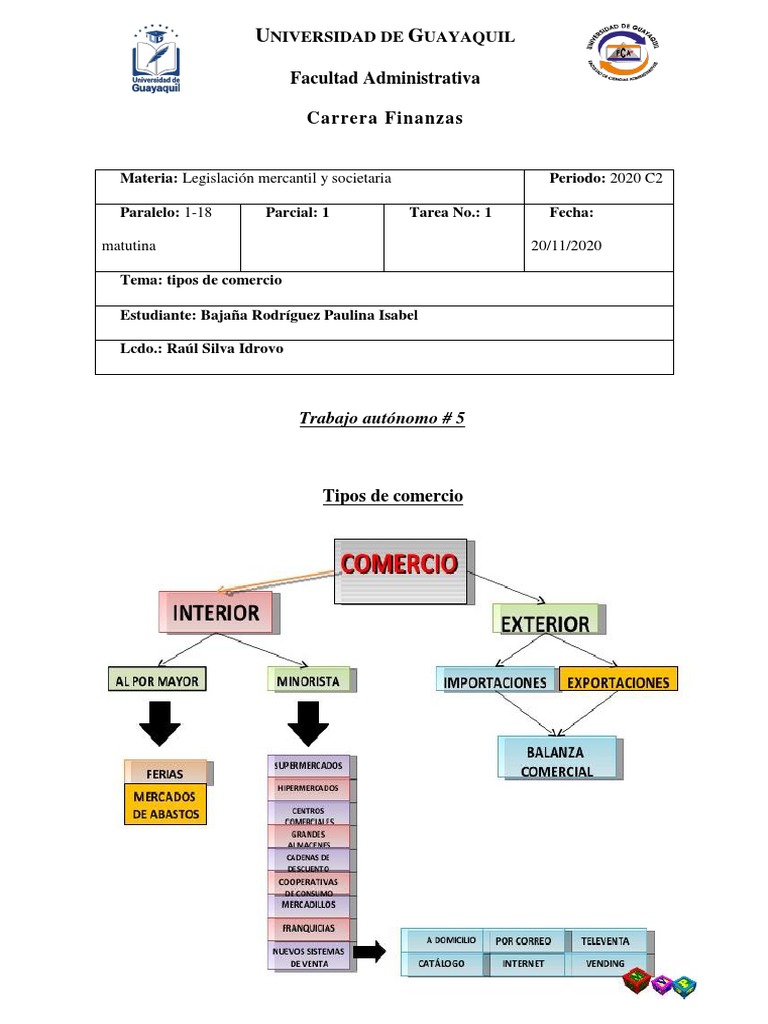 Tipos de Comercio | PDF | Comercio | Al por menor