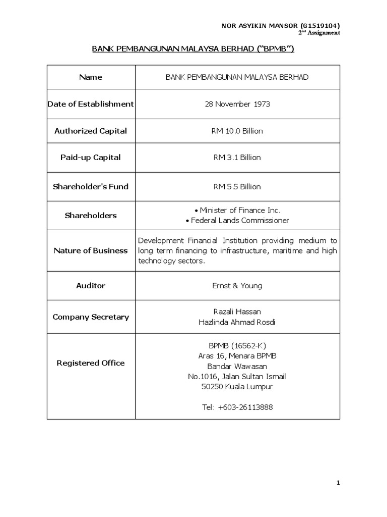 2nd Asignment - BANK PEMBANGUNAN MALAYSA BERHAD | PDF | Project Finance | Banks