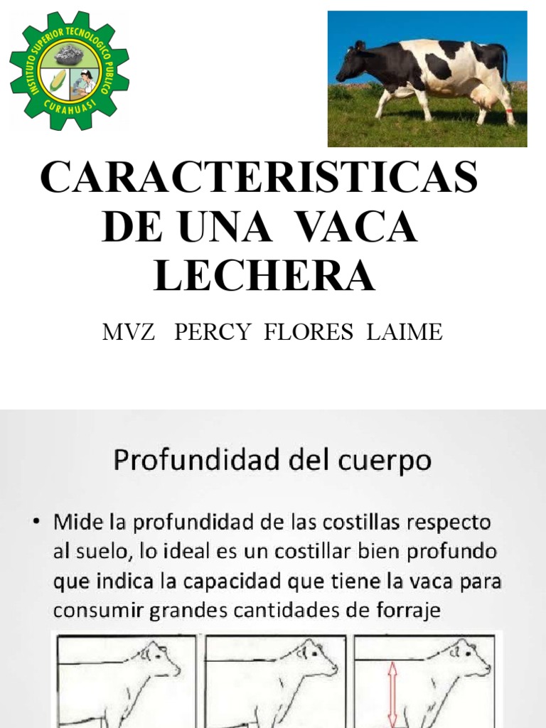 Caracteristicas de Una Vaca Lechera | PDF