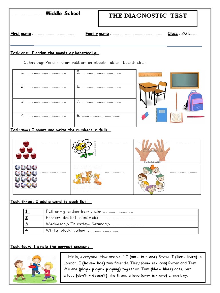 2MS - The Diagnostic Test 2018-2019 | PDF