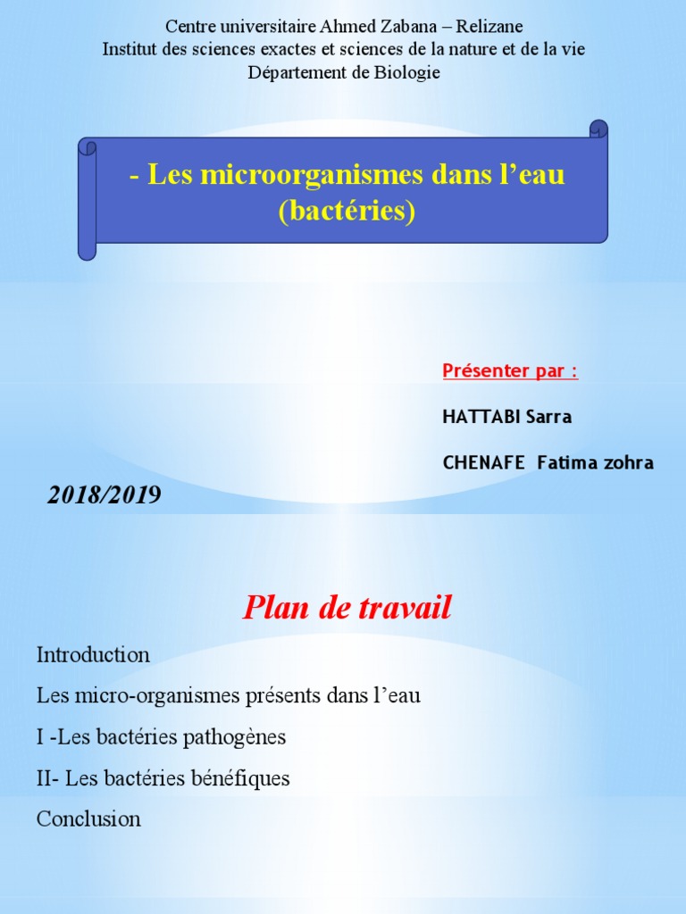 Les Microorganismes Dans L'eau (Bactéries) | PDF | Bactérie | Micro-organisme
